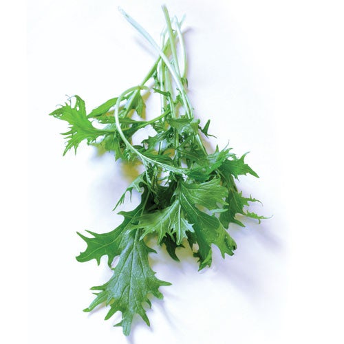 Mizuna: A Disease-Protective Green | How to Cook with Mizuna