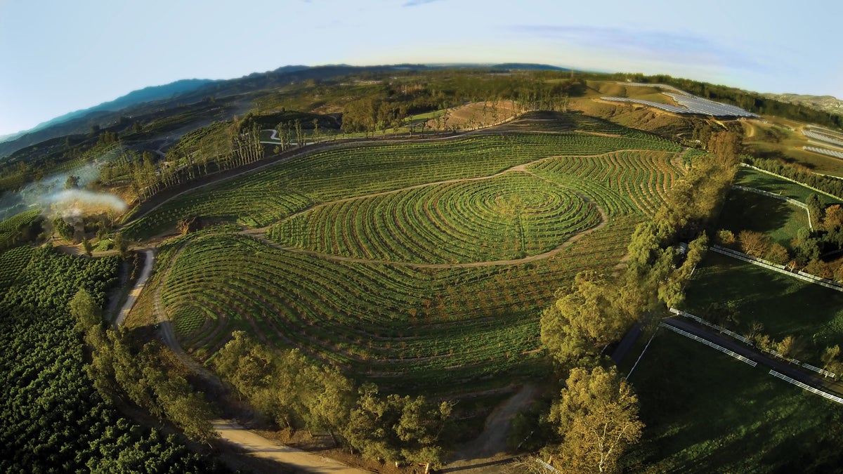 What is Biodynamic Food?