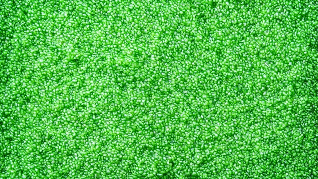 Wolffia Globosa: All About This Super Green Supplement | Clean Eating