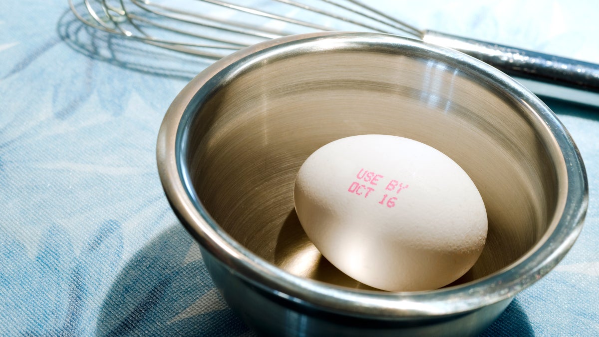 Stop Wasting Perfectly Good Food: Your Guide to Food Expiration Dates ...